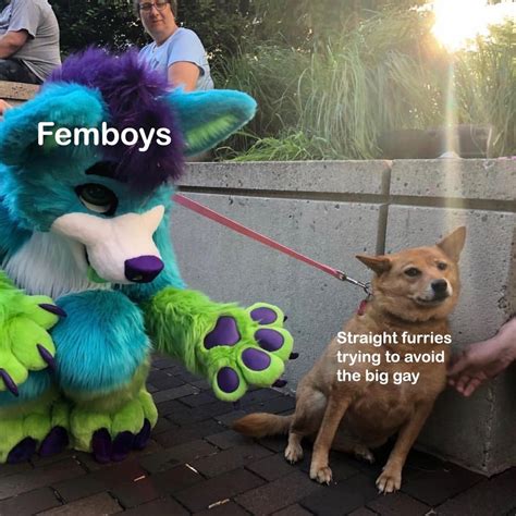 Femboysirl Furryirl