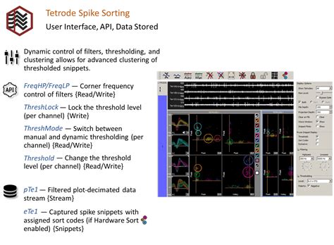 Tetrode Spike Sorting Synapse Manual