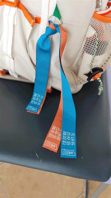 제주 올레길 리본은 눈으로만 즐겨주세요 네이트 뉴스