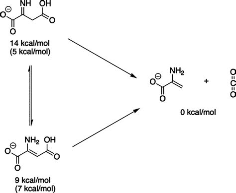 Oxaloacetic Acid