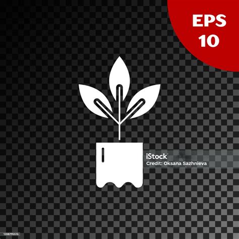 투명 한 어두운 배경에 격리 병 아이콘에 흰색 식물입니다 종자 및 묘목 나뭇잎 기호입니다 잎 자연입니다 벡터 일러스트레이션 0명에 대한 스톡 벡터 아트 및 기타 이미지