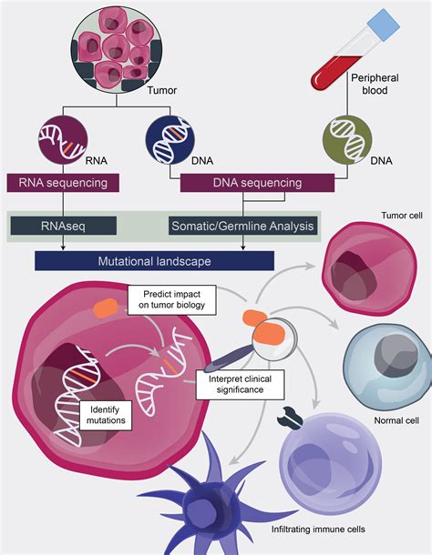 Precision Medicine Griffith Lab