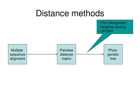Inferring Phylogenetic Trees Distance And Maximum Likelihood Methods Ppt Download
