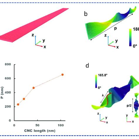 Molecular Dynamic Simulation Of Cnc Chirality Investigation A