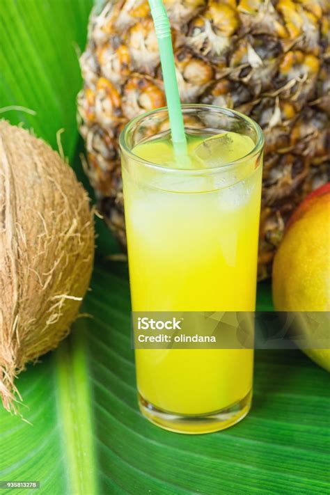 구성 키가 유리 갓 큰 녹색 종 려 잎에 짚 파인애플 코코넛 망고 열 대 과일 주스를 압착 햇빛입니다 여름 휴가 여행 비타민 해독 0명에 대한 스톡 사진 및 기타 이미지