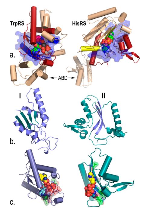 Life Special Issue The Origins And Early Evolution Of RNA