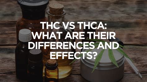 Thc Vs Thca What Are Their Differences And Effects