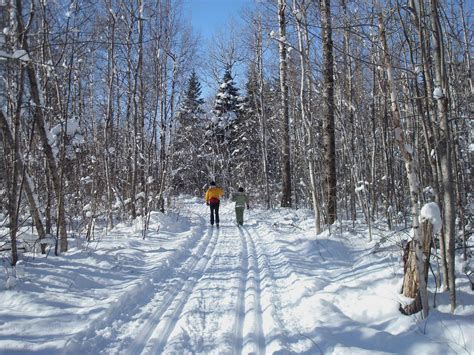 Beaver Cross Country Ski Club Classic Gentle Cross Country Ski And