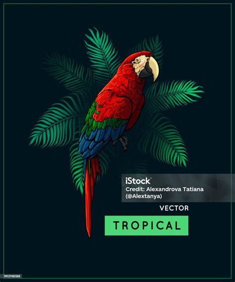여름 벡터 디자인과 빈티지 스타일 정글 그림 열 대 야자수와 앵무새어두운 배경 근접 촬영에 고립 된 이국적인 조류 정글과 트로픽 이미지입니다 앵무새에 대한 스톡 벡터 아트