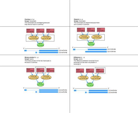 Using Em Operations To Characterize Alternatively Spliced Transcripts