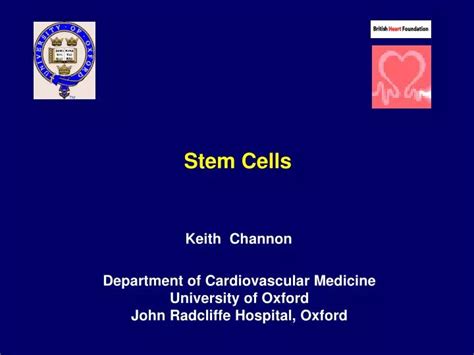 Ppt Stem Cells Powerpoint Presentation Free Download Id 1294482