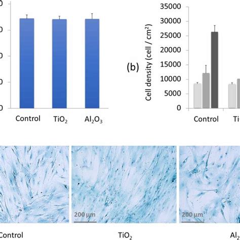 A Cell Density After 2 H Of Culture B Number Of Mscs On Tio2 And