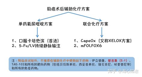 肠癌术后辅助化疗可以用替吉奥S 1吗 知乎