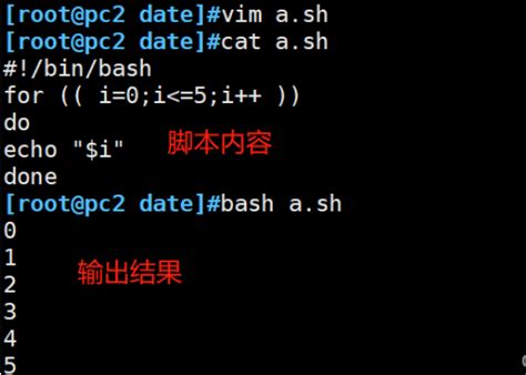 For、while循环及脚本实操循环脚本 Csdn博客
