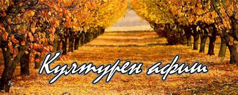 Културен афиш за периода 13 19 ноември 2023 г Община град Добрич