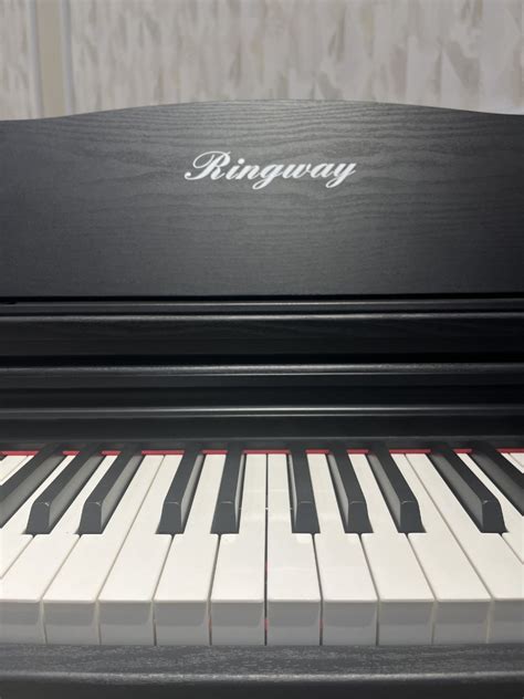 Ringway Rp 220 88 Key Digital Piano Keyboard Ringway Store