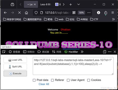 Sql Labs靶场第十关测试报告sqlilabs第十关 Csdn博客 Sql Labs靶场第十关测试报告sqlilabs第十关 Csdn博客