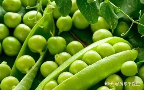 几种常见豆类的吃法与功效 知乎