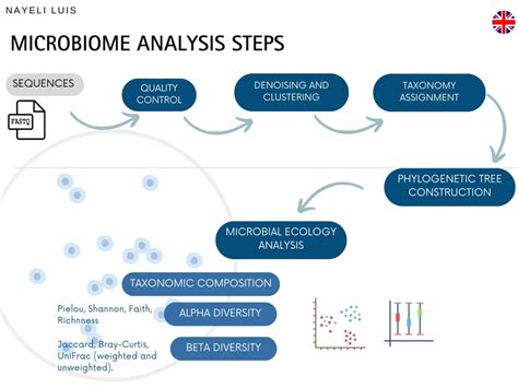 A Complete Microbiome Analysis Through Gene Marker Such As 16s Rrna