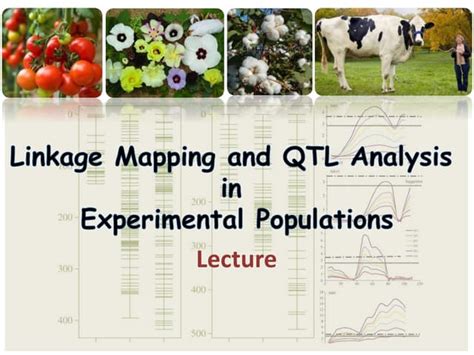 Qtl Mapping And Analysis Pptx
