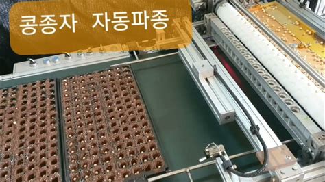 콩 자동파종기ㅡ 트레이포트에 콩 자동파종기ㅡ올씨드 Smart Seeder 코리아그로 김제대리점 ㅡ풍년농약비료마트 Youtube