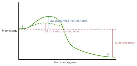 Enzyme Kinetics Concise Medical Knowledge