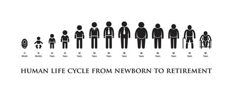 Human Life Cycle Clipart