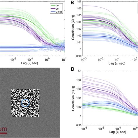 Simulations Of Freely Diffusing Probes In Static Modeled Membranes A Download Scientific