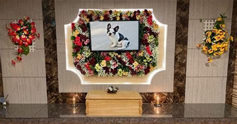 친구가 반려견 장례식 오라는데 조의금 얼마내죠