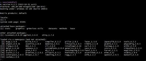 Cannot Publish Shiny Application From Rstudio With Norwegian Locale Issue Rstudio