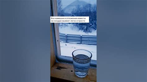 Как растворить камни в почках и сосудах — Органика Youtube