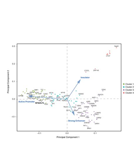 Clustering Of Transcription Factors Based On Relative Enrichment For