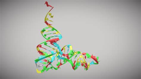 Molecular Structure Of The Transfer Rna Trna Download Free 3d Model By S Duce Sduce