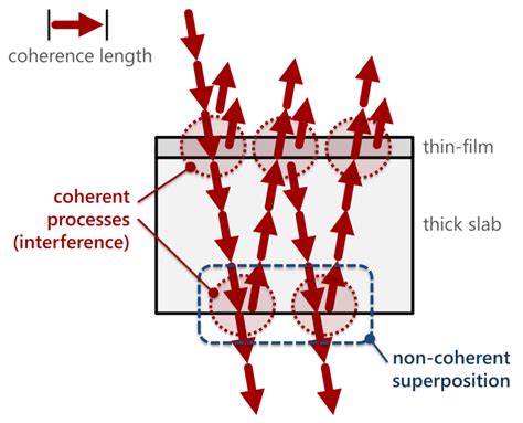 Coherent And Non Coherent Superposition Of Light Thick Slab And
