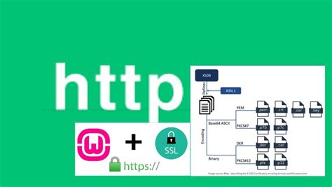 Domain Naming System Enabling Dns Over Tls In Windows 11