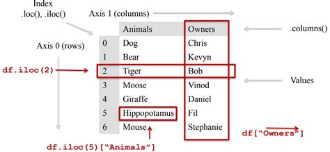 Data Processing With Pandas Data Playground