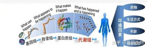收藏！轻松掌握代谢组学结果解读 知乎