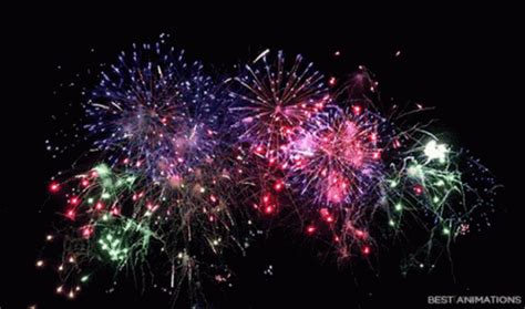 Fireworks Celebration  Fireworks Celebration Discover And Share S