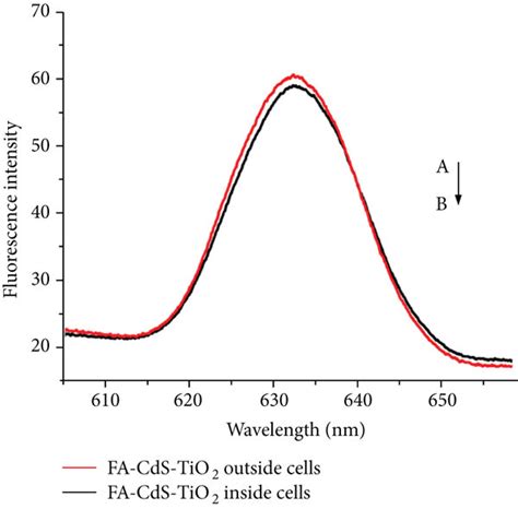 A The Fluorescence Emission Spectrum Of Cds Tio2 Nanocomposite Uptake