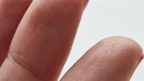 Mschf Creates Microscopic Louis Vuitton Handbag