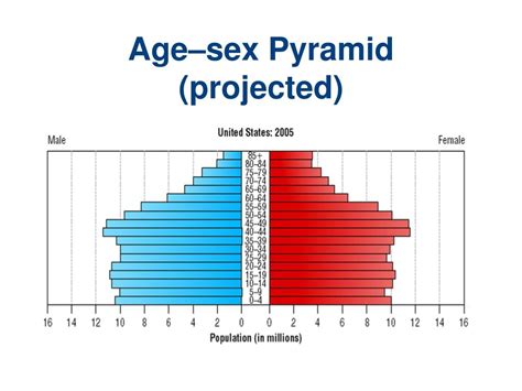 Ppt Chapter 15 Powerpoint Presentation Free Download Id5827496