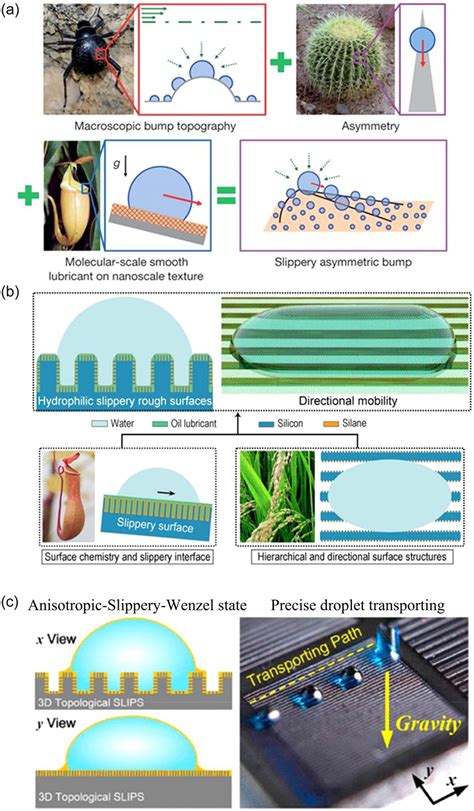 Slippery Lubricant Infused Porous Surfaces Slipss With Multiple Download Scientific Diagram