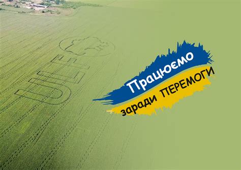 ТМ Квочка Користь яйця для дитини 😍 У день захисту дітей 👨‍👩‍👧‍👦