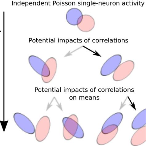 Potential Impacts Of Correlations On Coding In A Presence Of A