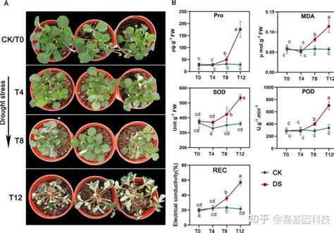 多组学关联分析及组学分子实验验证方法（表观组转录组微生物）肠道菌群微生物甲基化代谢物 健康界