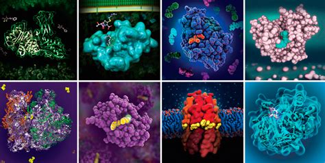 RCSB PDB Newsletter Winter