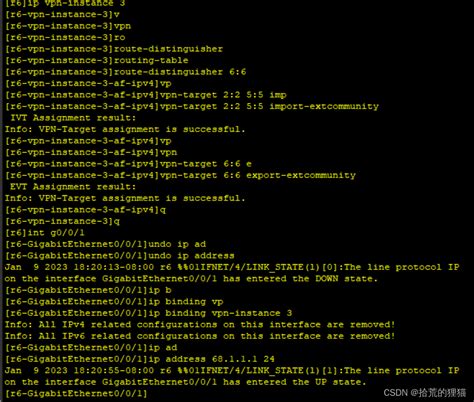 网络配置实验：ospf，bgp，mpls与mplsvpn实现 csdn博客