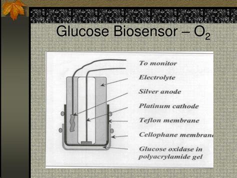Ppt Amperometric Biosensors Powerpoint Presentation Free Download