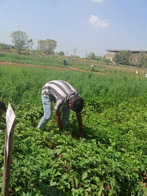 priyanshu anand on linkedin weed management 🌱