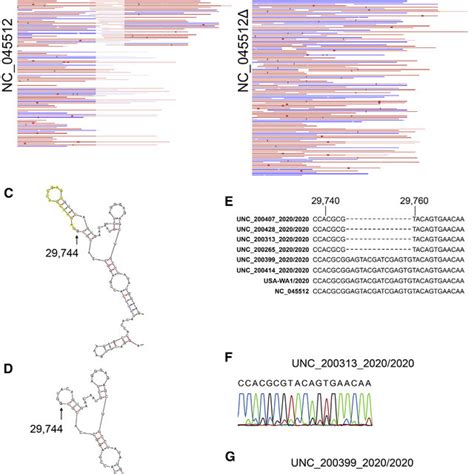 Sars Cov2 Genome Coverage Plots For Different Amplicon Sets Download Scientific Diagram